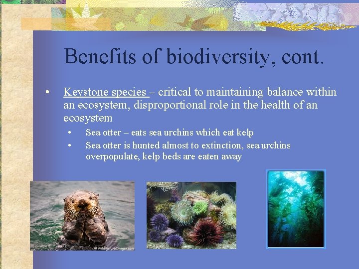 Ch 10 Biodiversity Section 10 1 What is