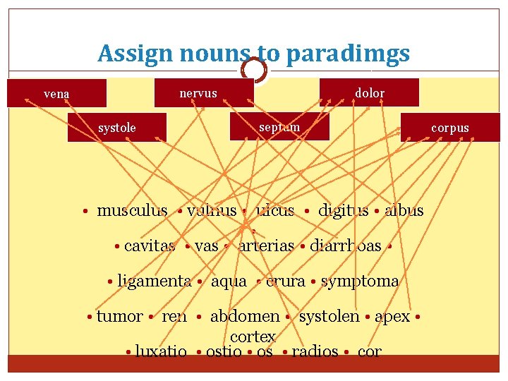 Basic medical terminology 6 IIIRD DECLENSION CONSONANT STEMS