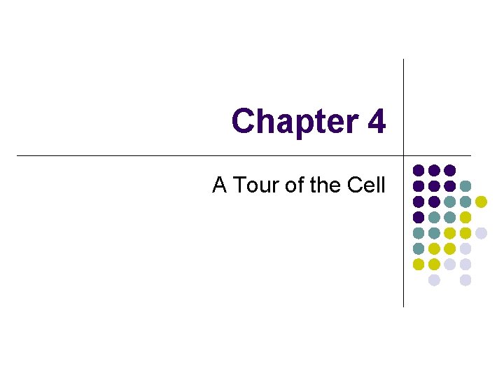 Chapter 4 A Tour of the Cell The