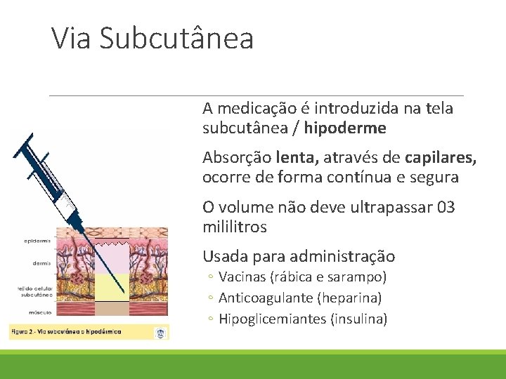 Vias De Administrao De Medicamentos Via Oral Absoro