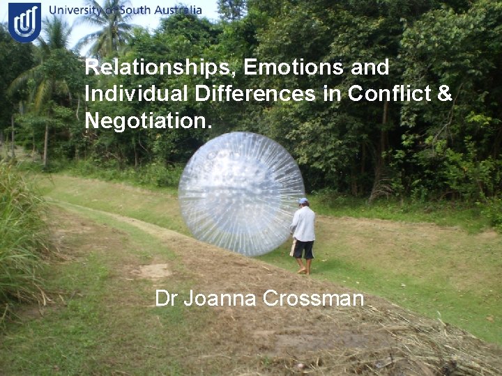 Relationships Emotions and Individual Differences in Conflict Negotiation