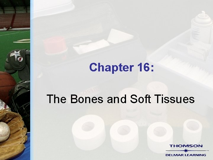 Chapter 16 The Bones and Soft Tissues Function