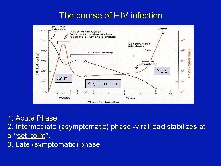 HIV pathogenesis The course of HIV infection AIDS