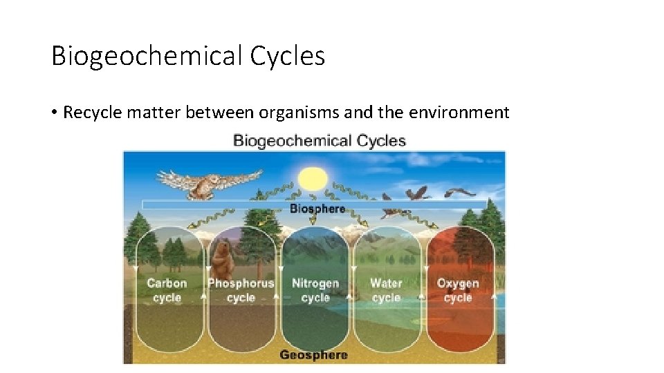 Properties of Carbon Atomic Structure Nucleus is made