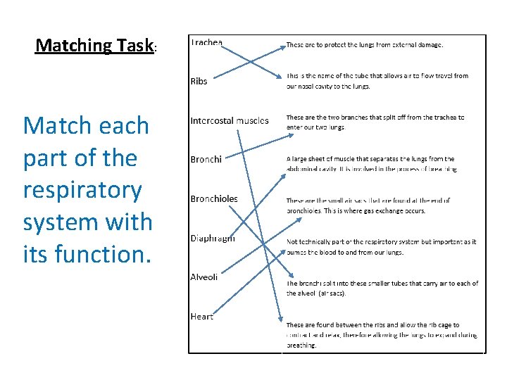 Information Recap Which organ system is this diagram