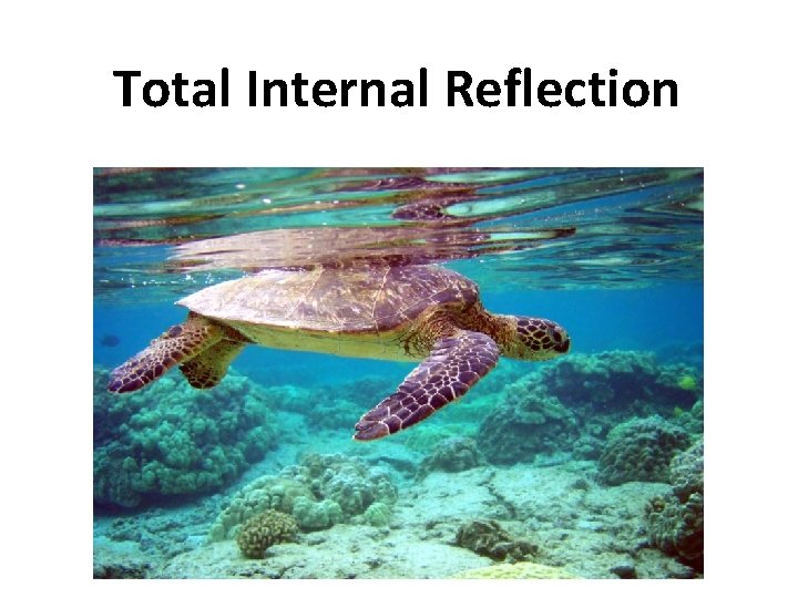 Total Internal Reflection When light travels through one