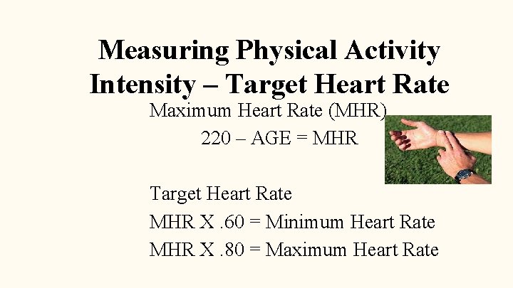Muscular SystemExercise Info AnatomyPhysiology Benefits of Physical ...