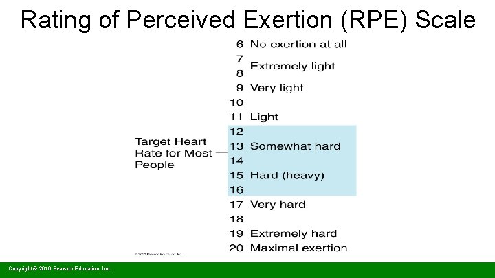 Muscular SystemExercise Info AnatomyPhysiology Benefits of Physical ...