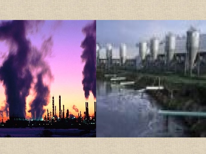 Factory Farms and Human Health By Lucy Lieberman