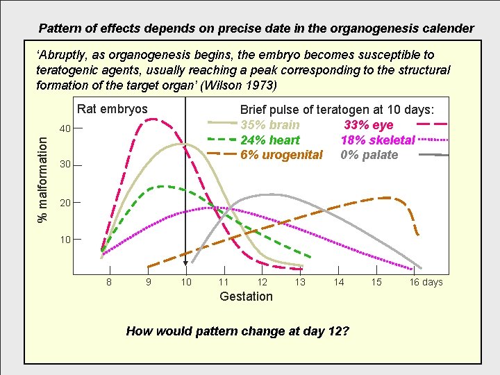 What is a Teratogen n Definition n A