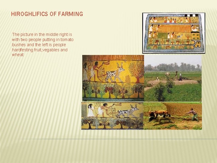 FARMING IN ANCIENT EGYPT By Nathan and Bailey