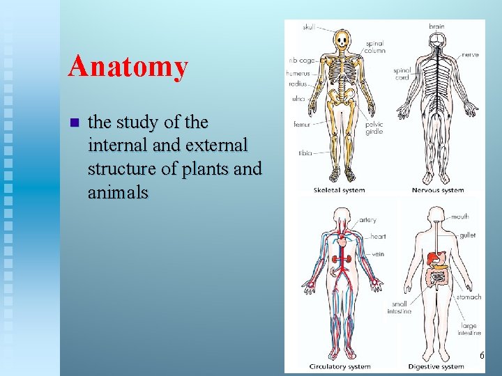 Leaving Certificate Biology 1 1 1 1 Biology