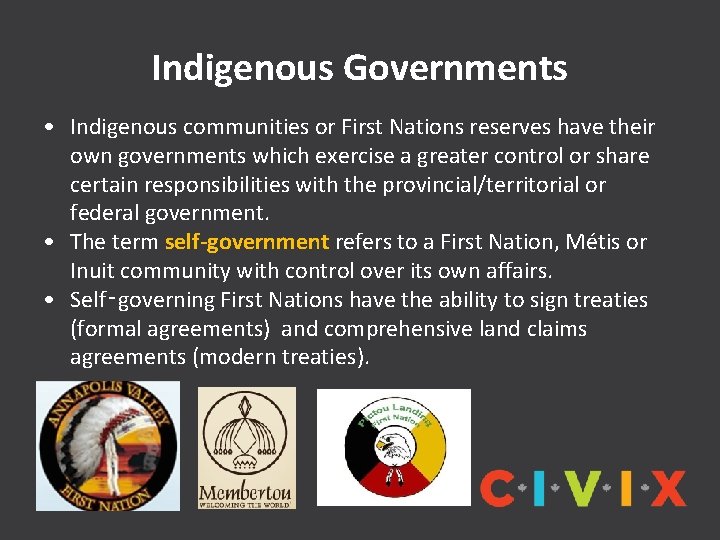 Power Point 3 The Levels of Government Levels