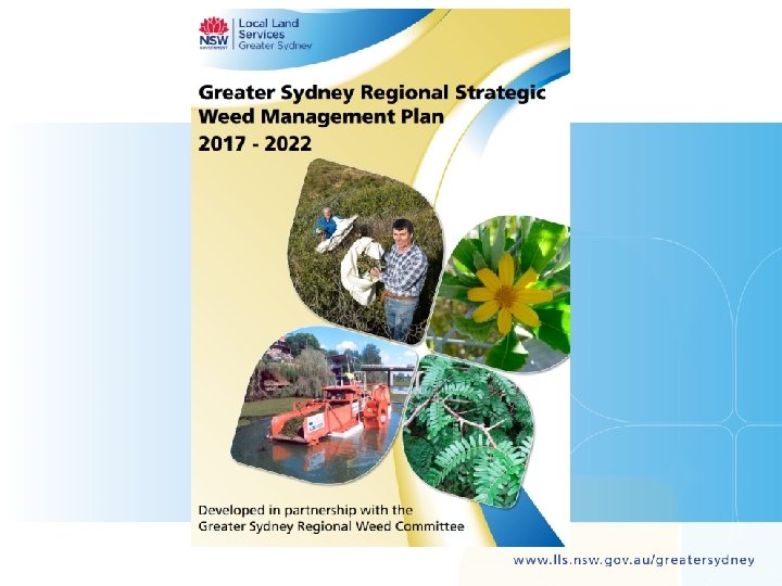 Review of Strategic Mandatory Documents Anthony Schofield Introduction