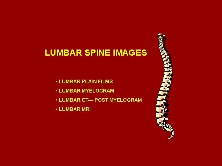 GROSS ANATOMY RADIOLOGY IMAGING MODALITIES OF THE SPINE