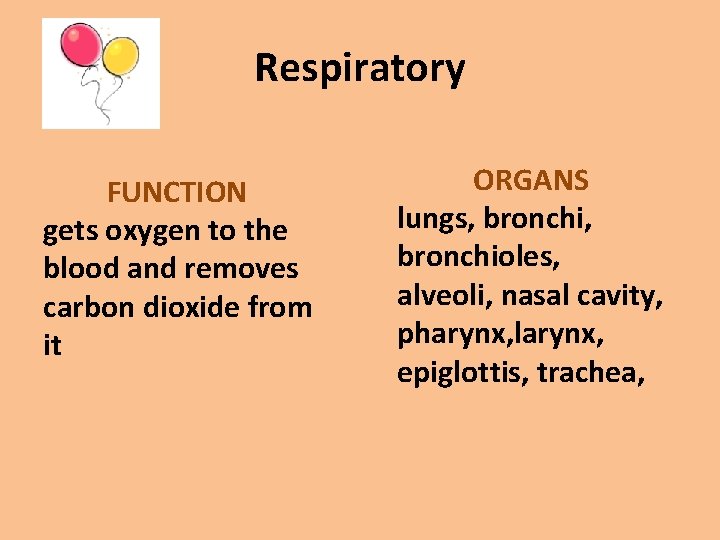 Body System Review Circulatory FUNCTION transport nutrients oxygen