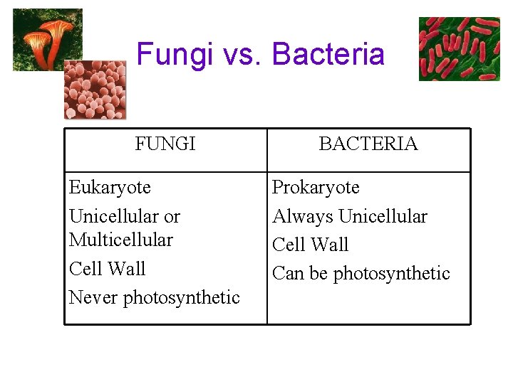 Yeast Signal Transduction Lab Saccharomyces cerevisiae Yeast are