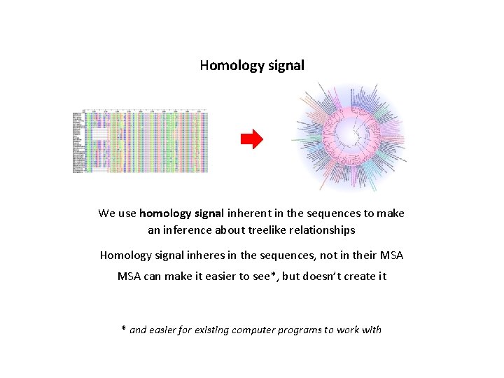 Phylogenetics without multiple sequence alignment Mark Ragan Institute
