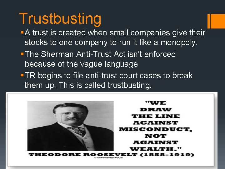 Theodore Roosevelt Interesting Teddy Facts Became President after