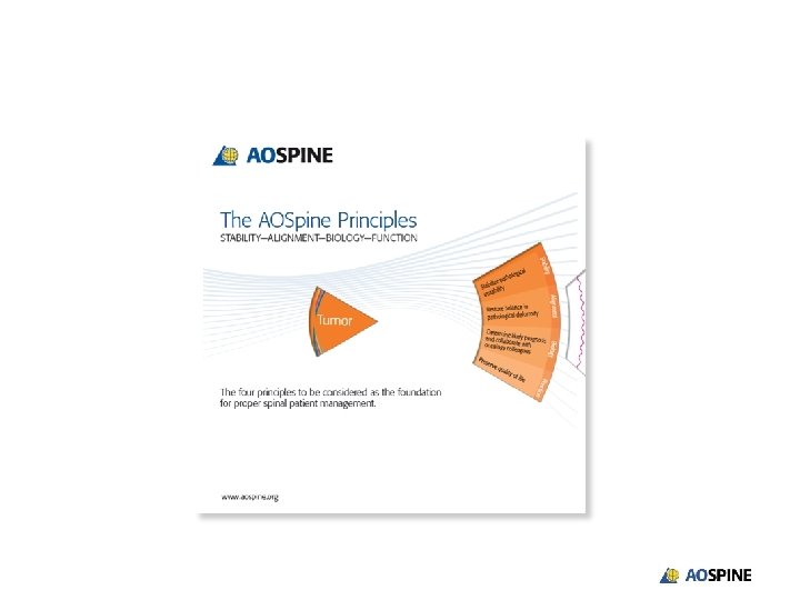 AOSpine Principles Course Introduction and objectives Insert names