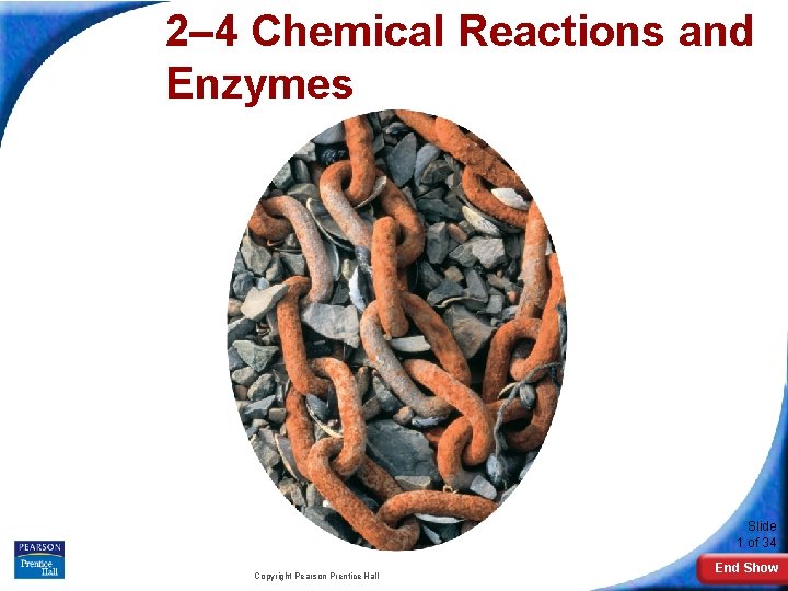 2 4 Chemical Reactions and Enzymes Slide 1