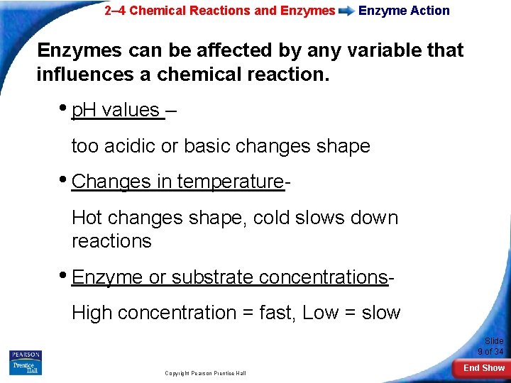 2 4 Chemical Reactions and Enzymes Slide 1