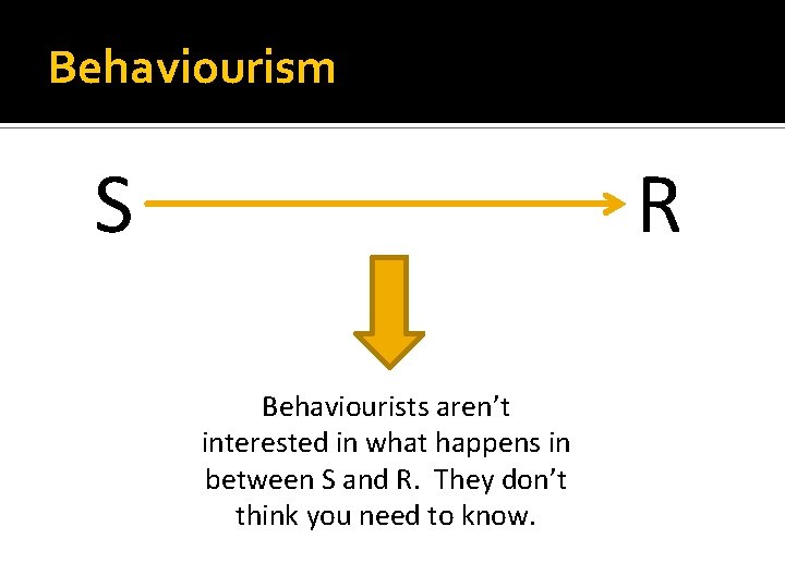 Learning Objectives To know the main features of