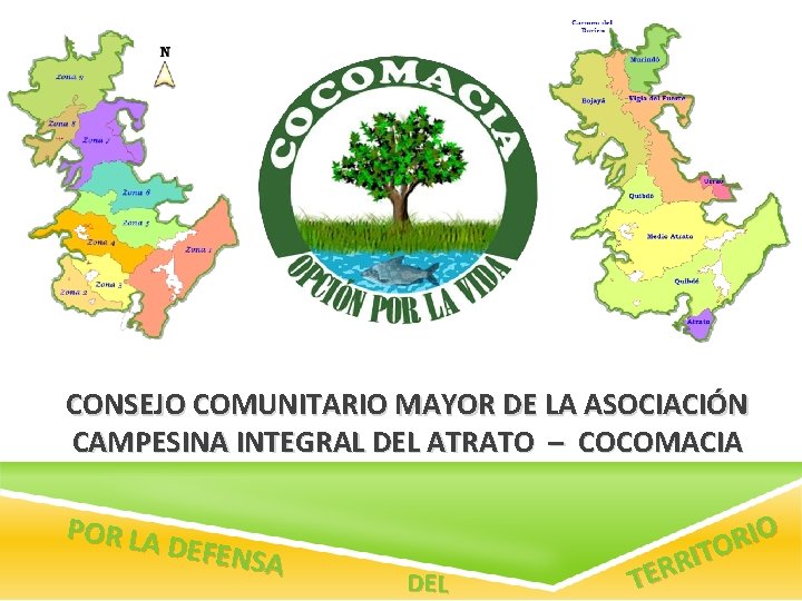 CONSEJO COMUNITARIO MAYOR DE LA ASOCIACIN CAMPESINA INTEGRAL
