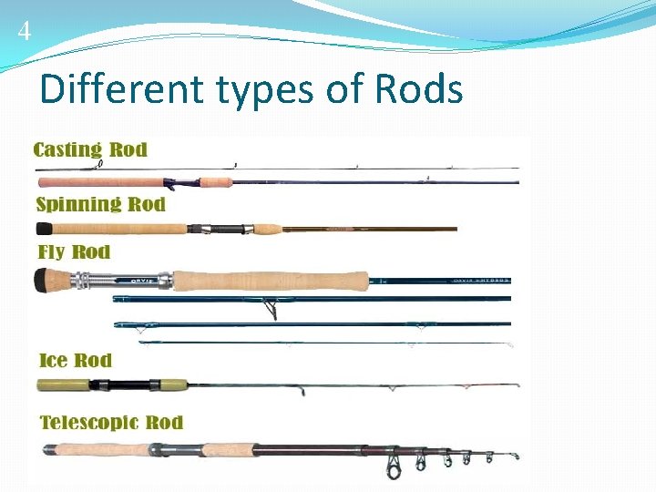 1 FISHING ROD Lever and Pulley By Dylan