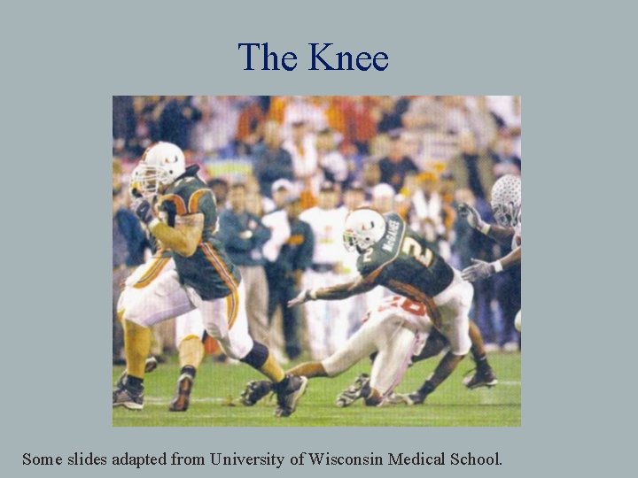 The Knee Some slides adapted from University of
