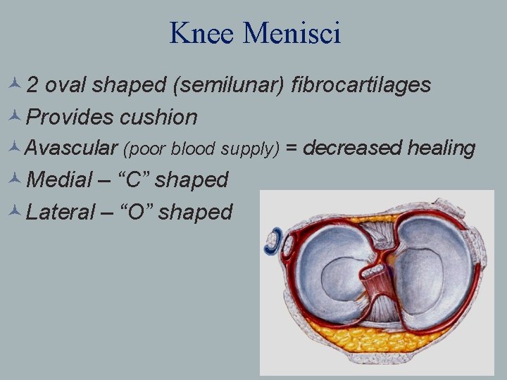 The Knee Some slides adapted from University of