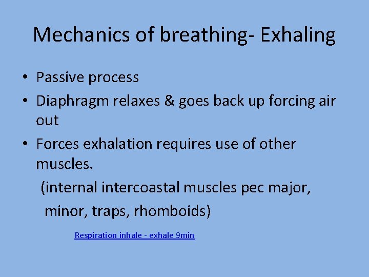 Respiratory system Exercise Physiology Inhalation Nasal cavity Hairs