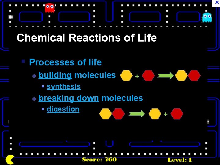 ENZYMES breaking it down and building it up