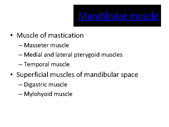 Muscles of mandible By Abdul Muhaimin D 11