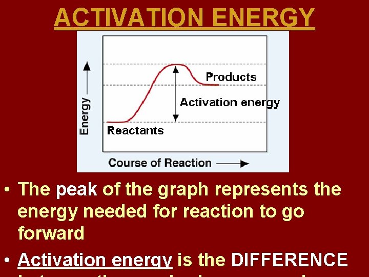 Energy in Reactions Enzymes ENERGY IN REACTIONS In