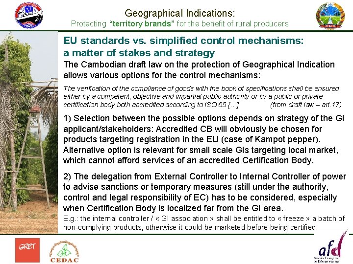 Geographical Indications Protecting territory brands for the benefit