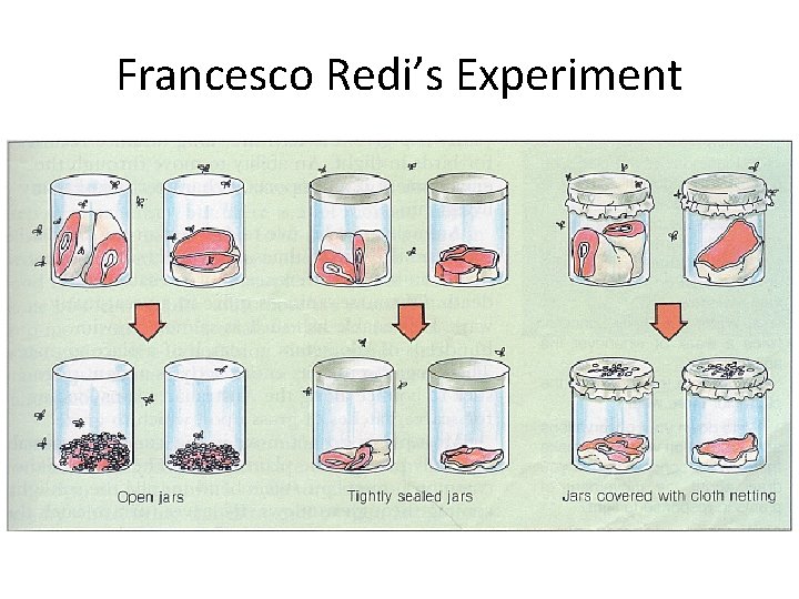 Group Activity In your group assemble the 10