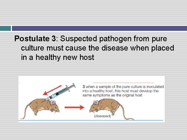INFECTIOUS DISEASES How might disease organisms be spread