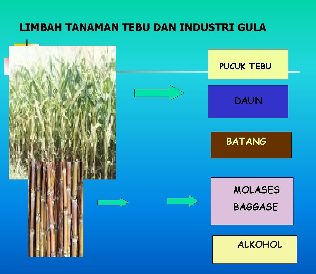 IPTEK PENGOLAHAN BMT PEMANFAATAN LIMBAH PERTANIAN SEBAGAI PAKAN
