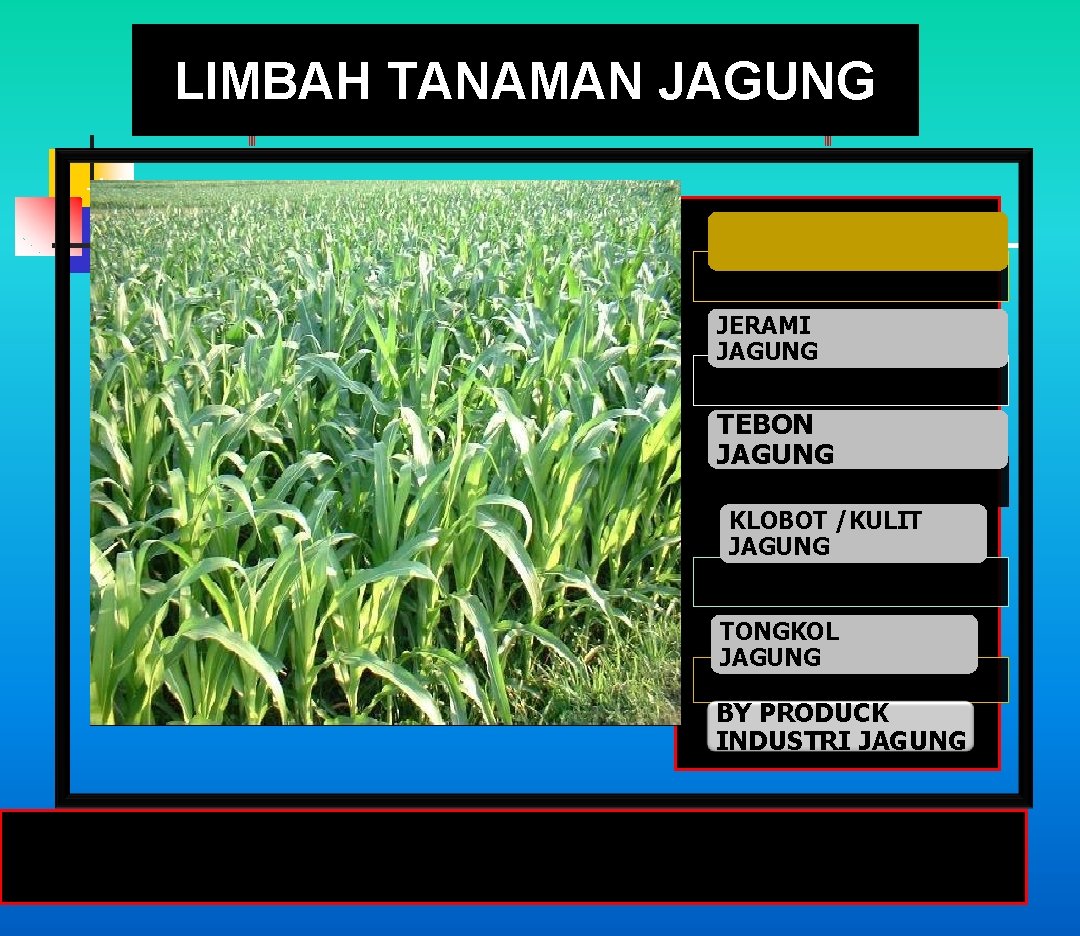 IPTEK PENGOLAHAN BMT PEMANFAATAN LIMBAH PERTANIAN SEBAGAI PAKAN