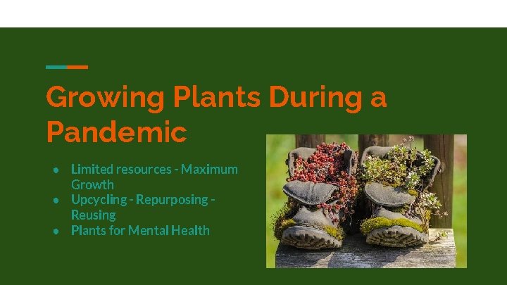 Growing Plants During a Pandemic Limited resources Maximum