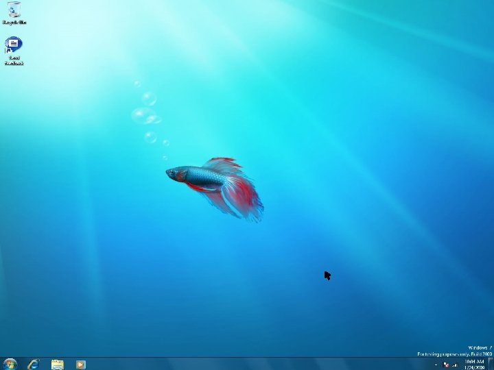 Greg Bickford Don Bushell Gavin Elster Andy Boer