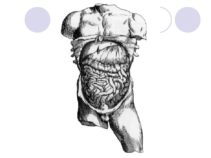 ABDOMEN Hastann hikayesi unlar kapsamaldr Abdominal ars var