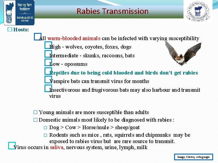 Rabies Unit 6 Dr Arvind Kumar Das Assistant