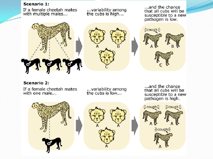 Evolutionary Change Without Natural Selection Evolution occurs when