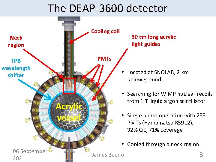 Alpha particle backgrounds from the neck of the