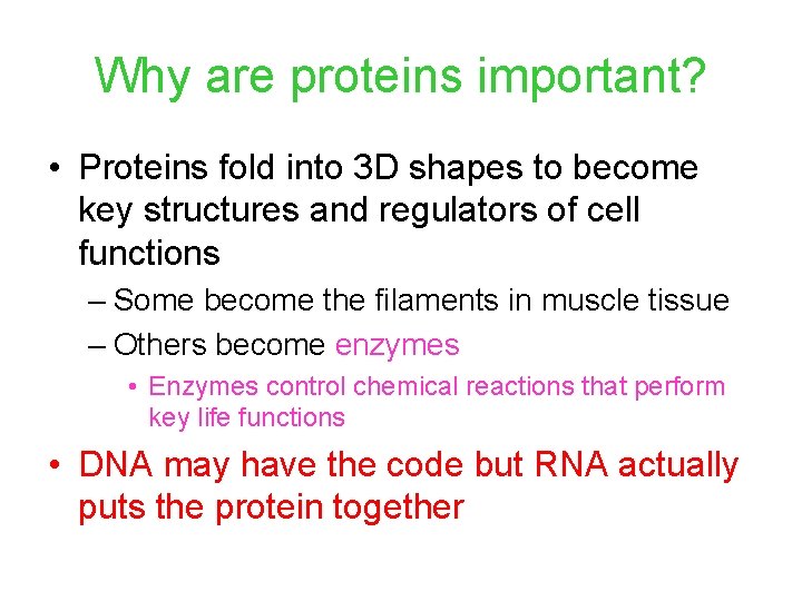 From DNA to Proteins Why are proteins important