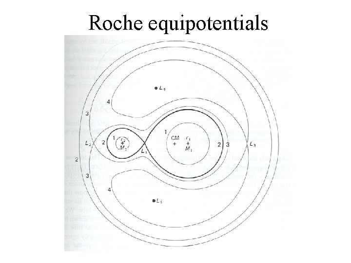 Accretion in Binaries Two paths for accretion Rochelobe
