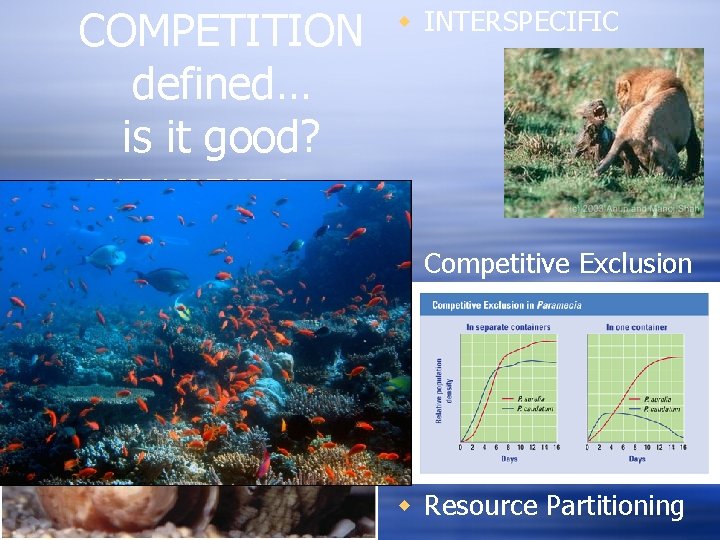 MARINE ECOLOGY w w HABITAT ECOLOGY POPULATION COMMUNITY