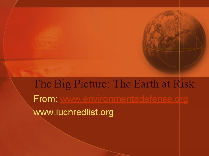 The Big Picture The Earth at Risk From